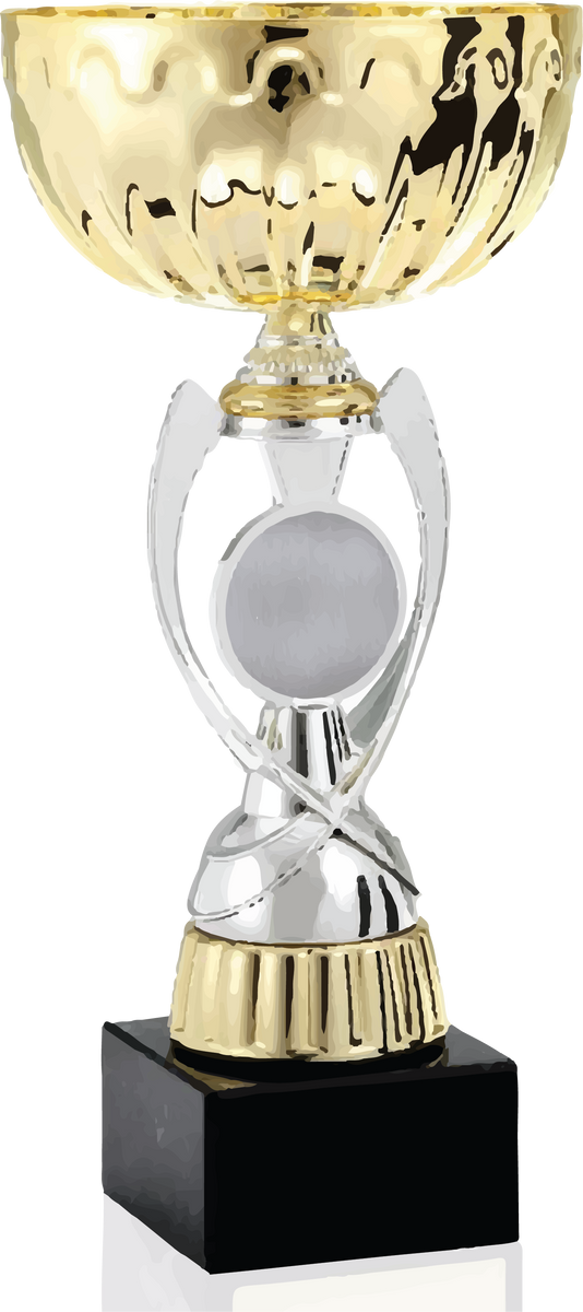 AMC 311 SERIES CUPS – Elly's Awards